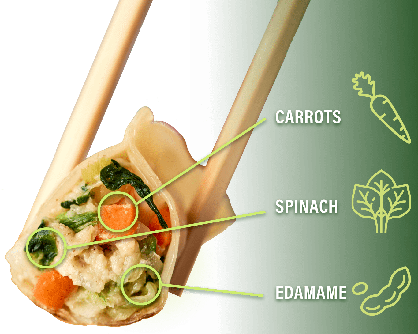 NEW! CHEF ONE® Vegetable Dumplings | CJ Schwan's